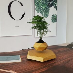 Wooden Floating Levitating & Rotating Planter Pot – HoMafy
